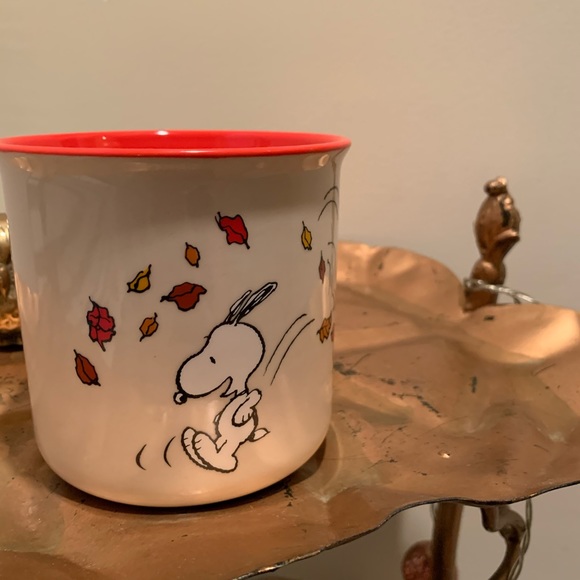 Peanuts | Dining | Rae Dunn Peanuts Fall Mug Set | Poshmark